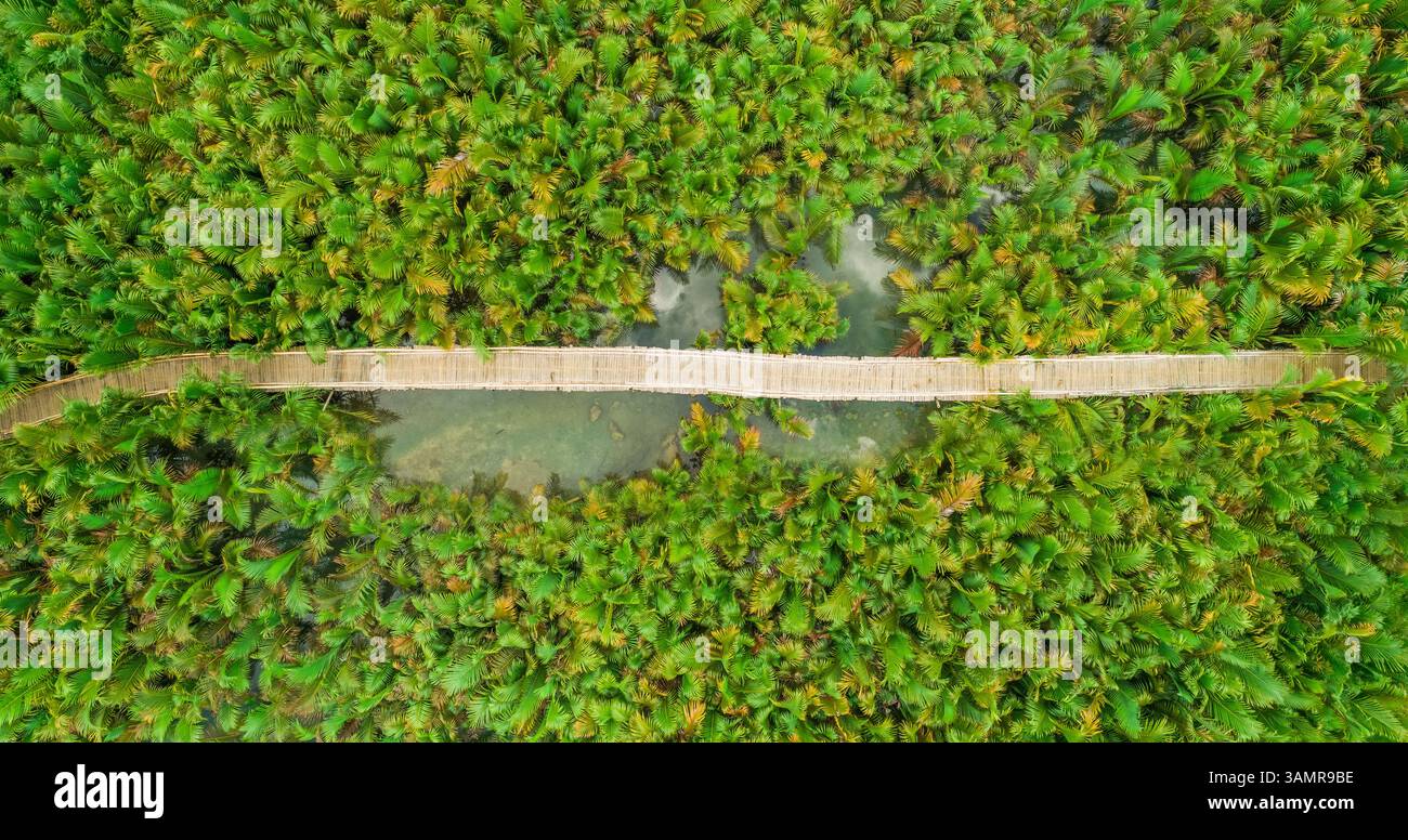 Aerial view of long wooden bridge among palm trees in Bojo river ...