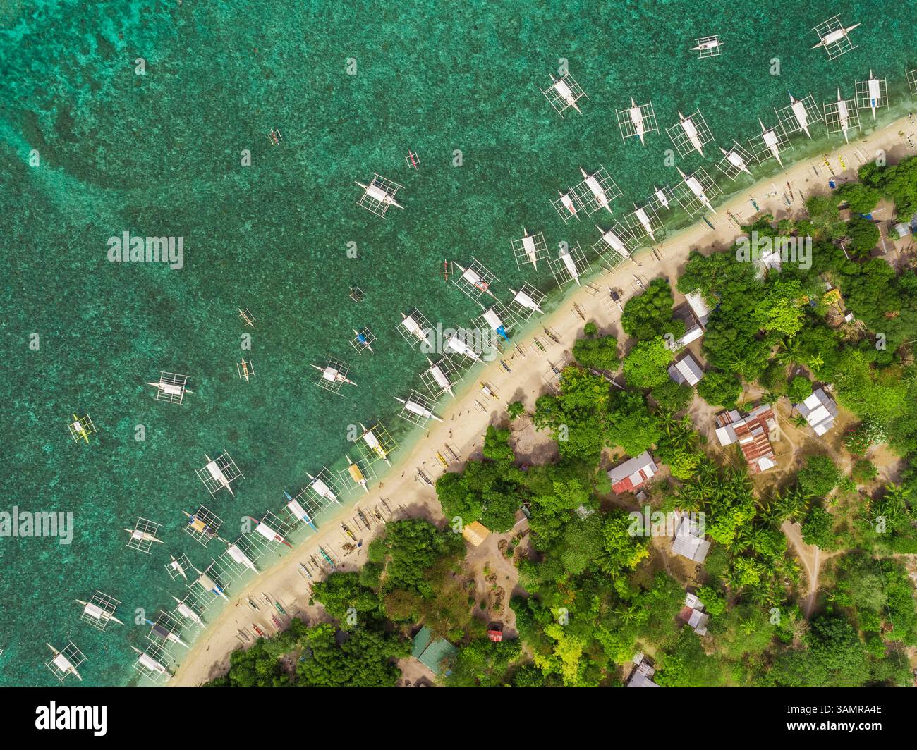 Aerial view of beach, buildings, filipino boats, Balicasag Island ...