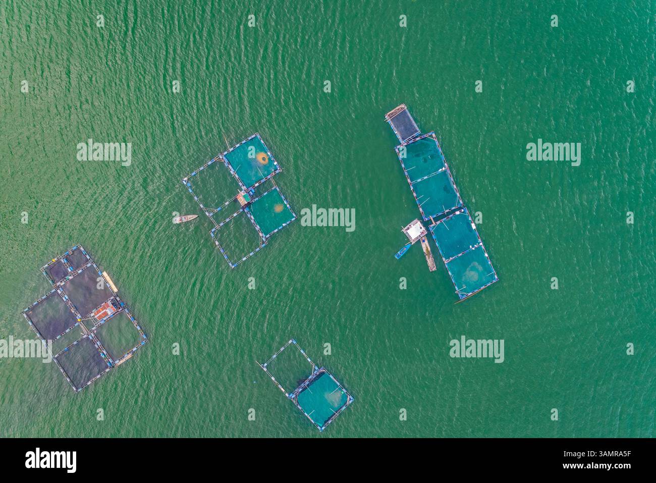 Aerial view of fish farm pools in Talisay, Philippines Stock Photo - Alamy