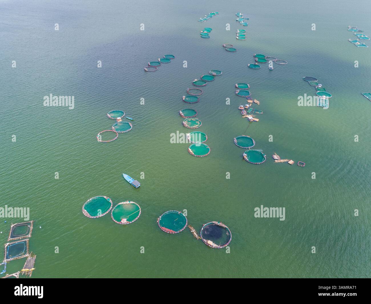 Aerial view of fish farm pools in Talisay, Philippines Stock Photo - Alamy