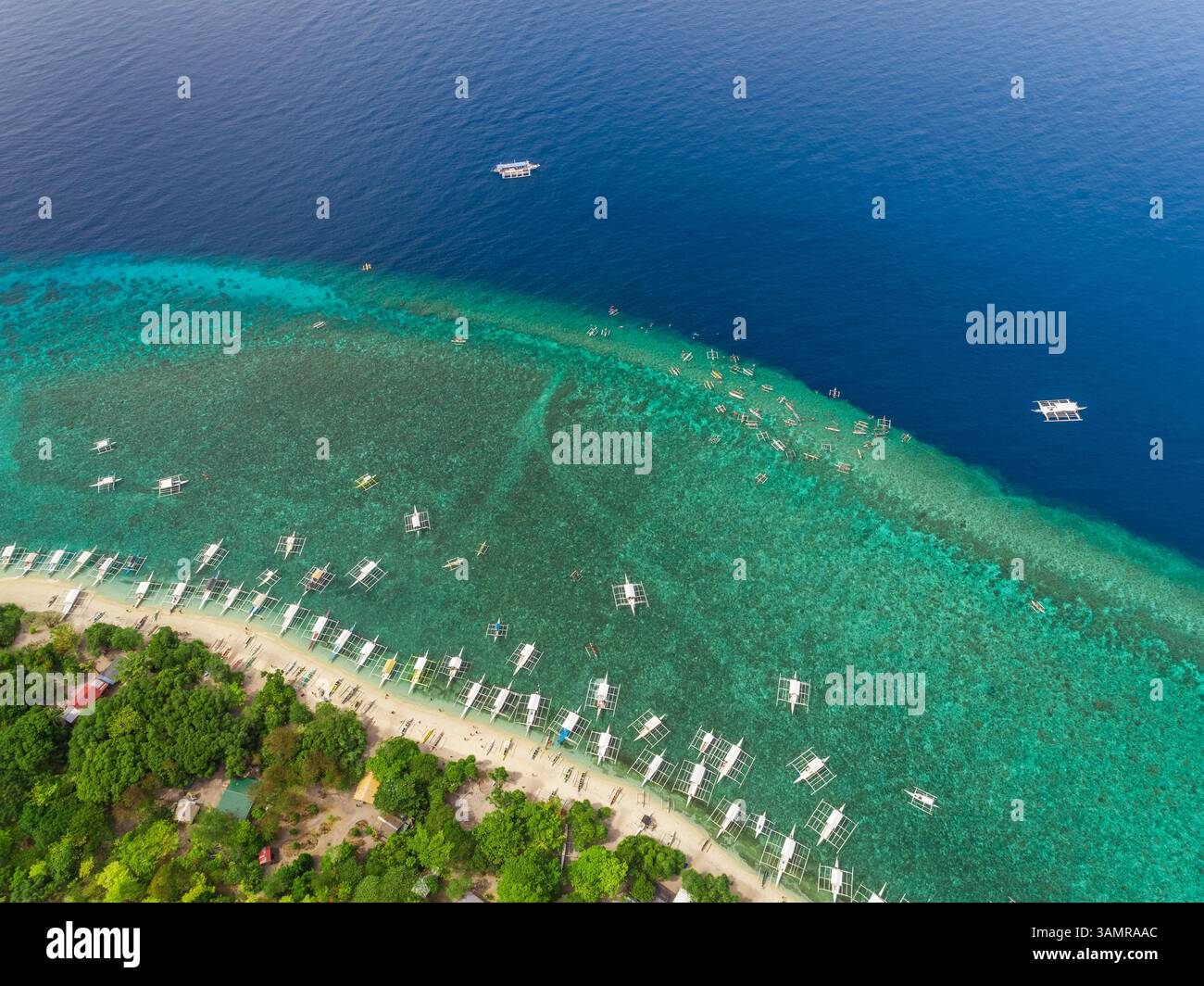 Aerial view of beach, buildings, filipino boats, Balicasag Island ...