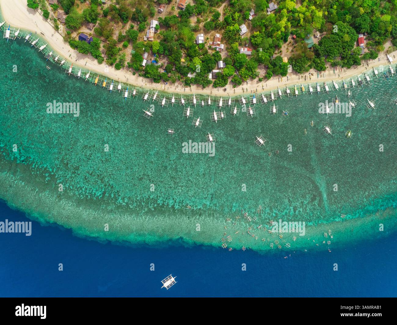 Aerial view of beach, buildings, filipino boats, Balicasag Island ...