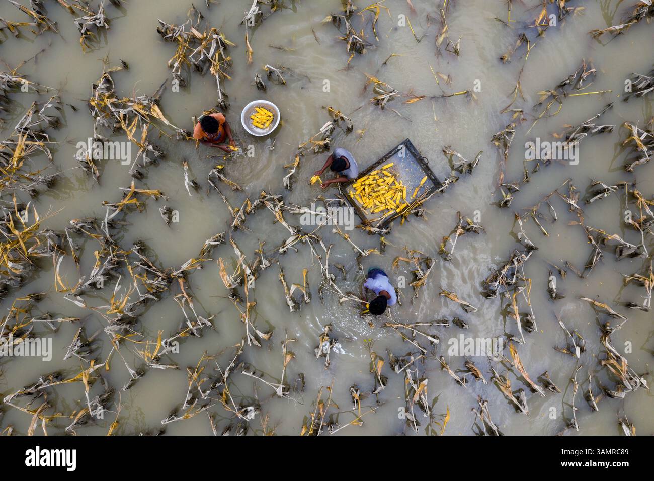 Aerial view of flood water has damaged crops and thousands of people ...
