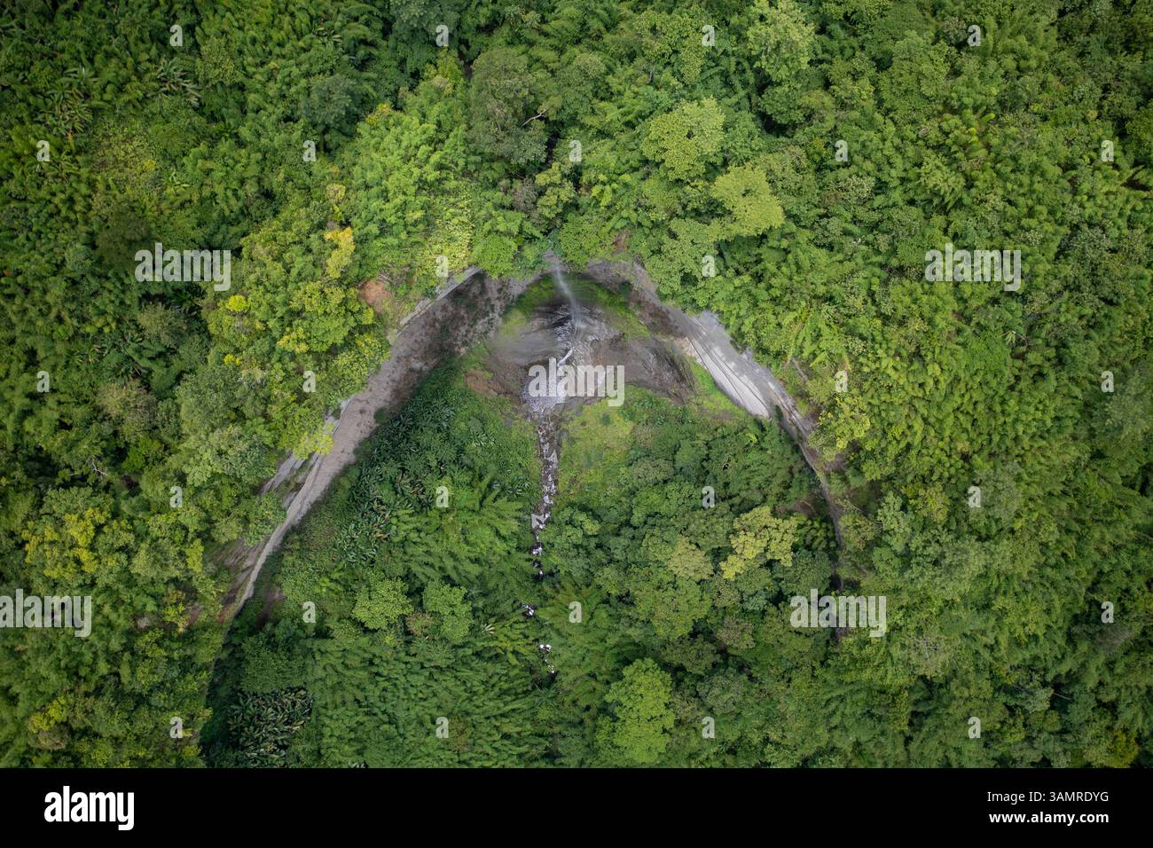 Aerial view of lush forest and serene waterfall amidst vibrant greenery ...