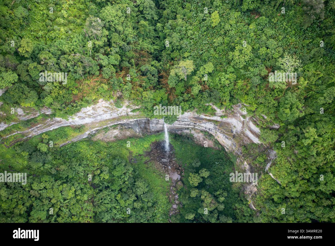 Aerial view of a lush waterfall cascading down a cliff surrounded by ...