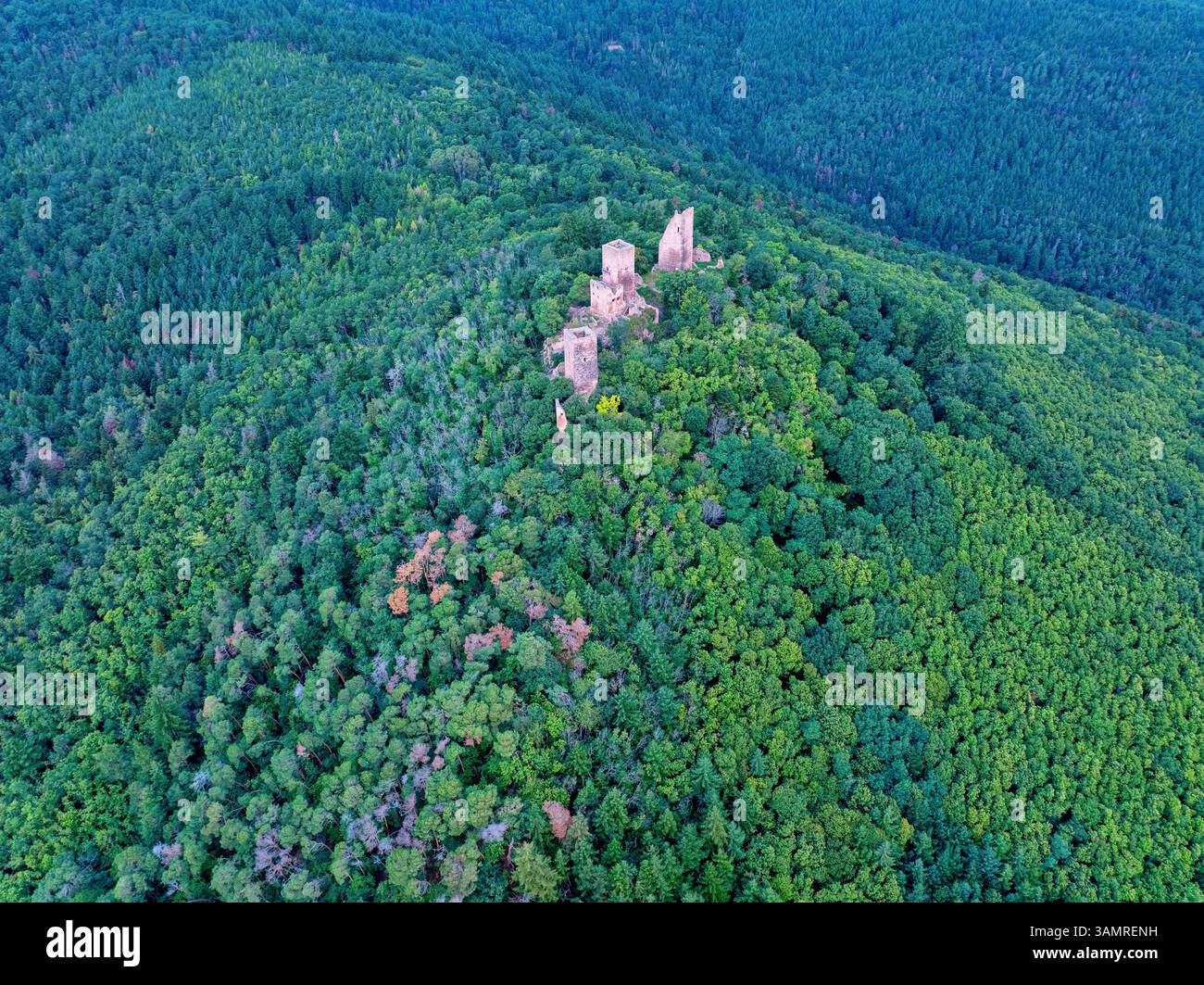Aerial view of lush greenery and ancient castle ruins amidst a dense ...