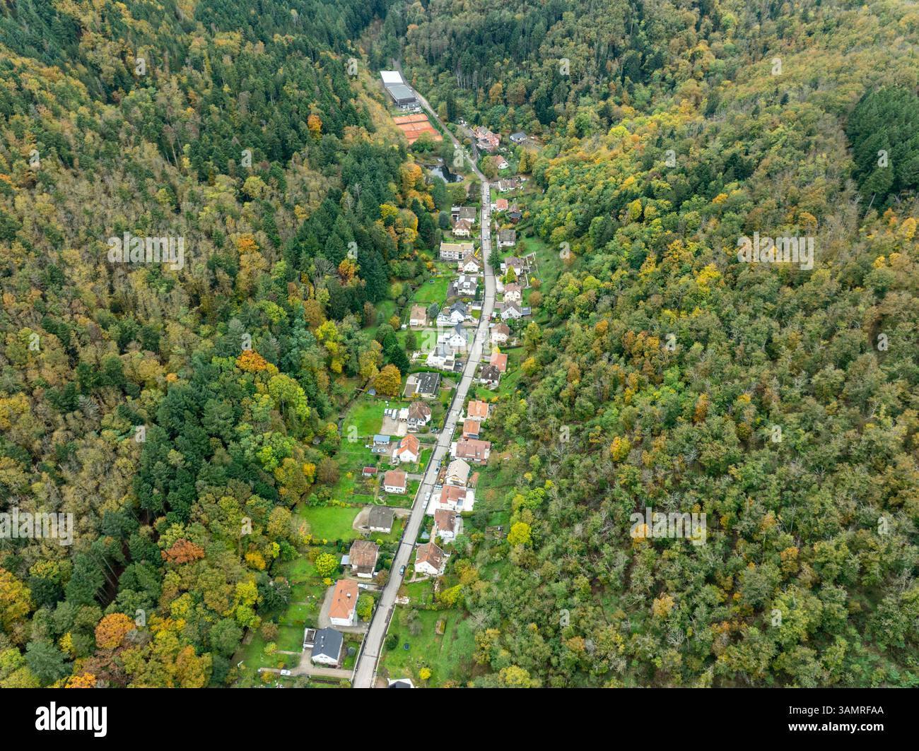 Aerial view of a picturesque village with homes surrounded by lush ...