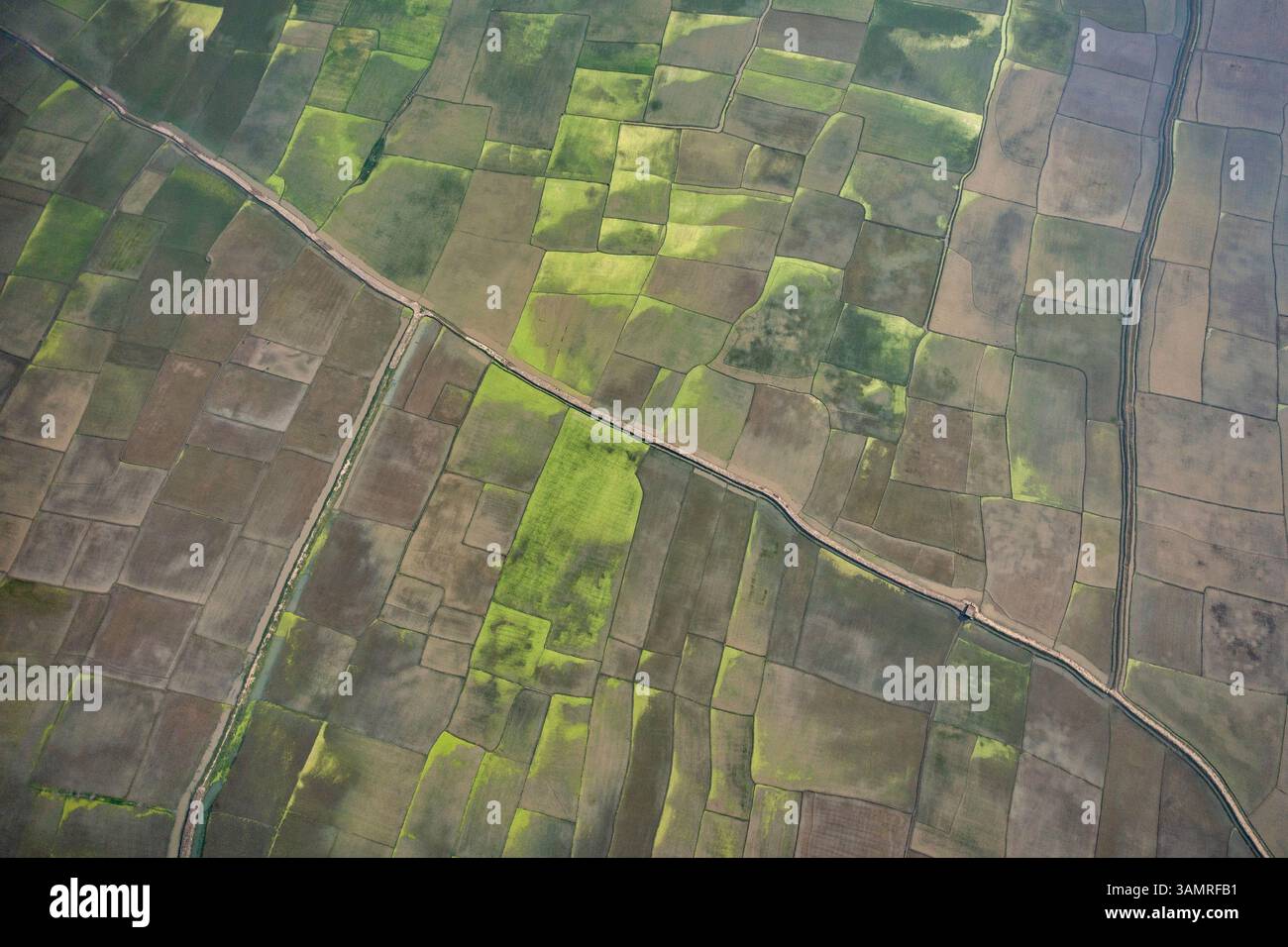 Aerial view of flooded agricultural fields with lush green patterns in ...