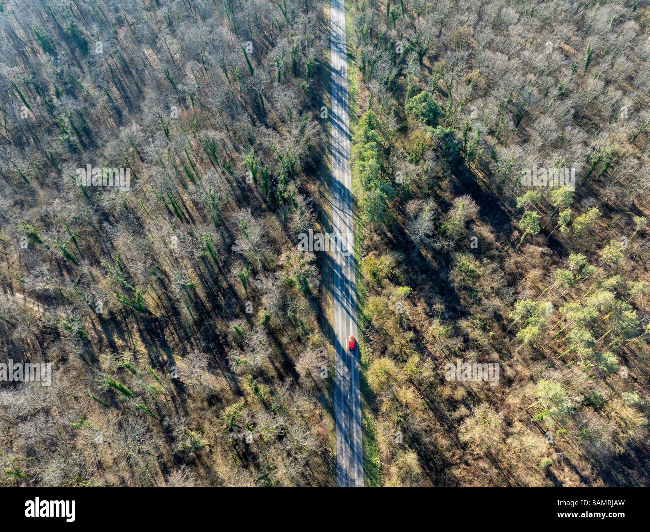Aerial view of road into the forest near Kembs of Haut-Rhin, in Grand ...