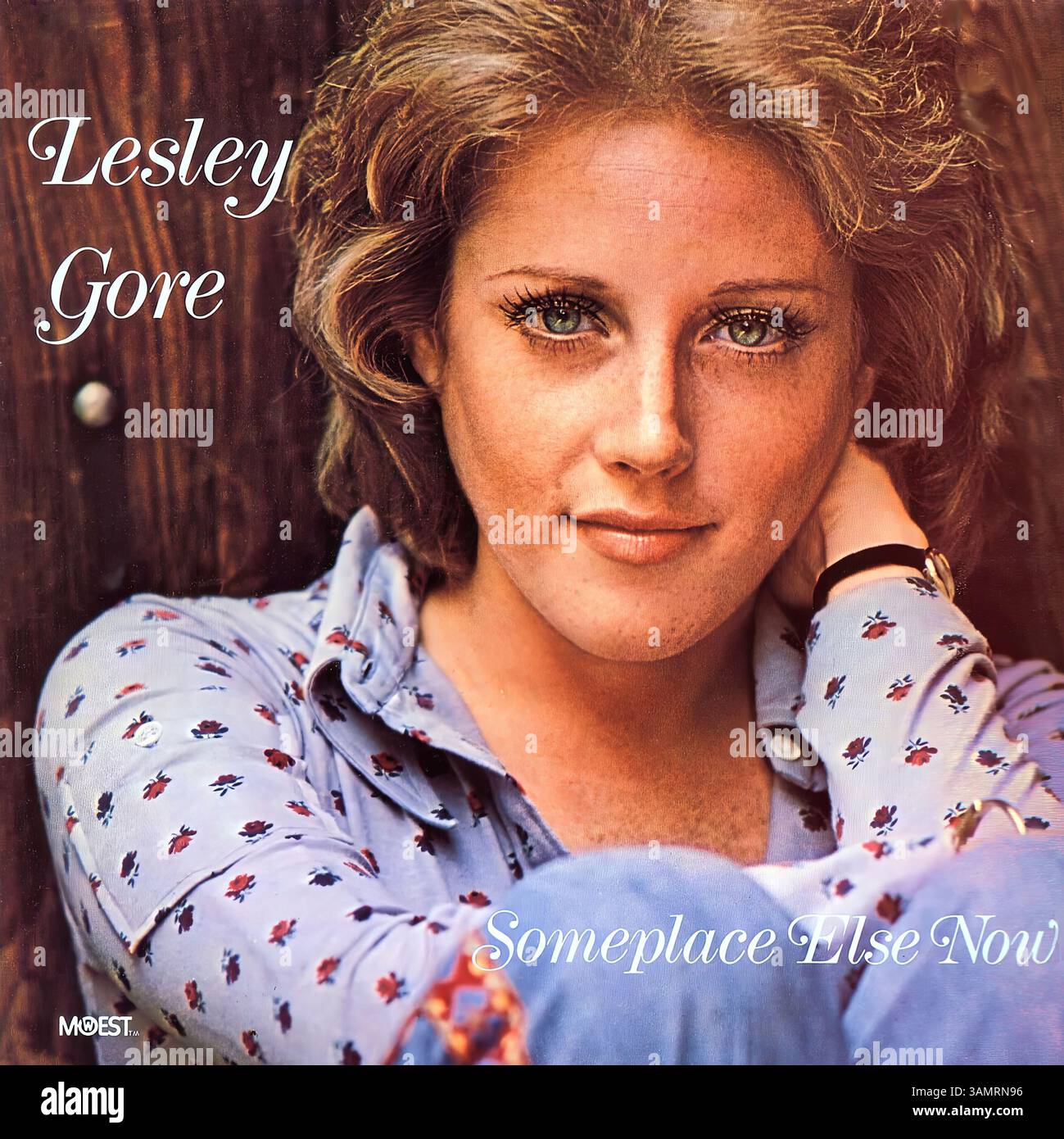 Lesley Gore - Someplace Else Now - Vintage vinyl record cover Stock ...