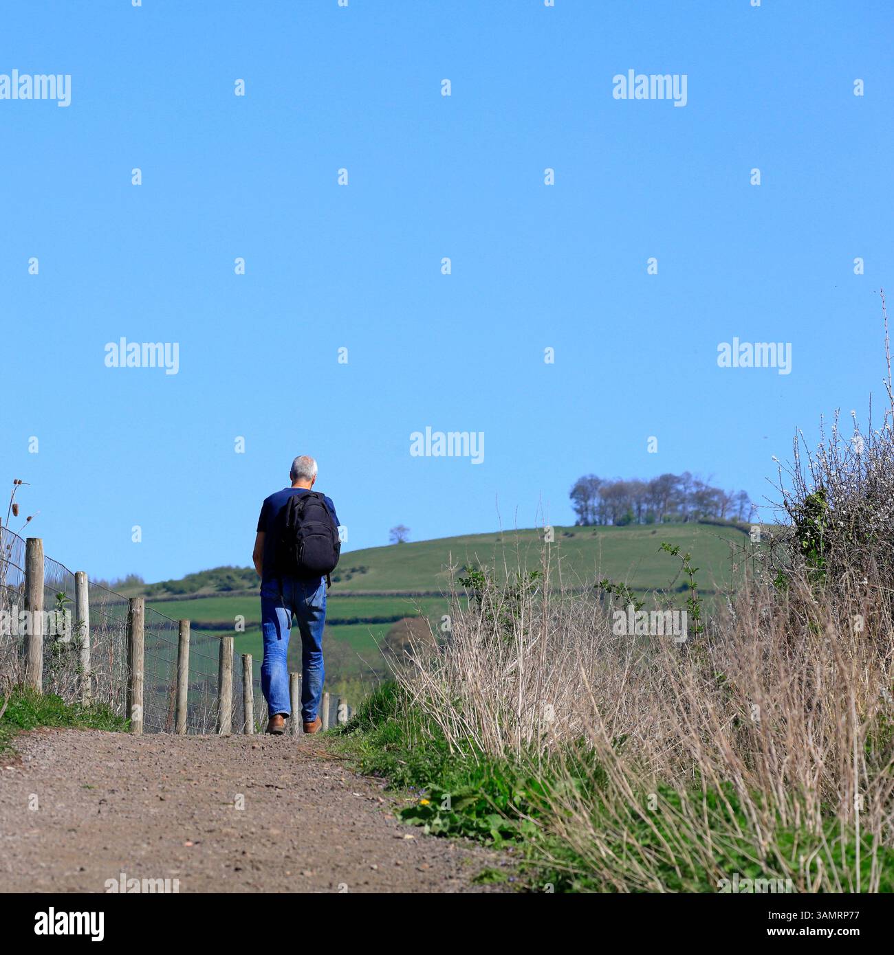 Man walking on the path towards Kelston Roundhill - path from Saltford ...