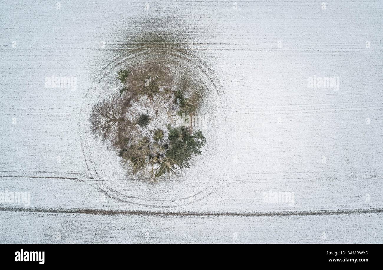 A top down image of a snow capped tree with tractor tracks making a ...