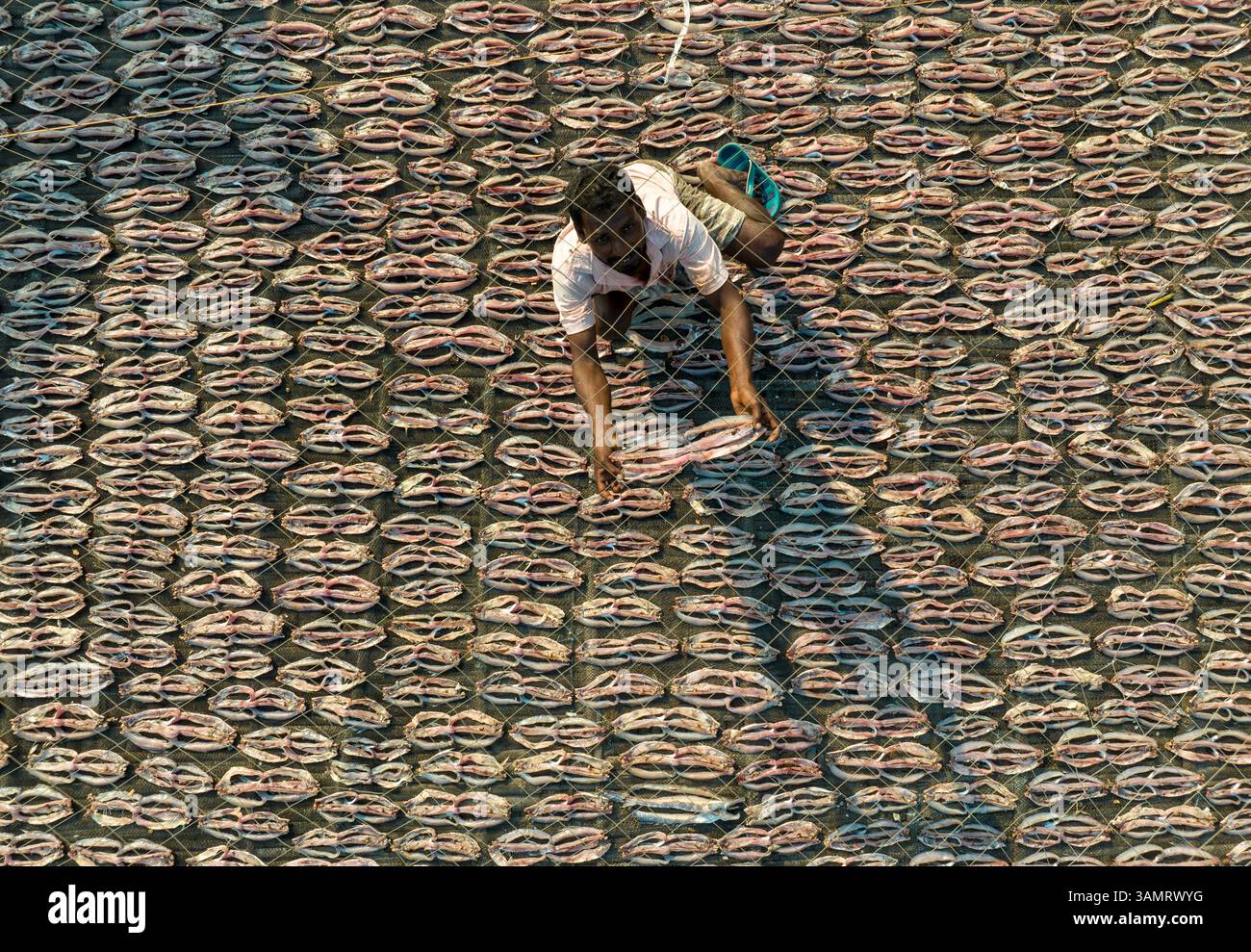 Dhaka, Bangladesh - 11 December 2022: Aerial view of people working in ...