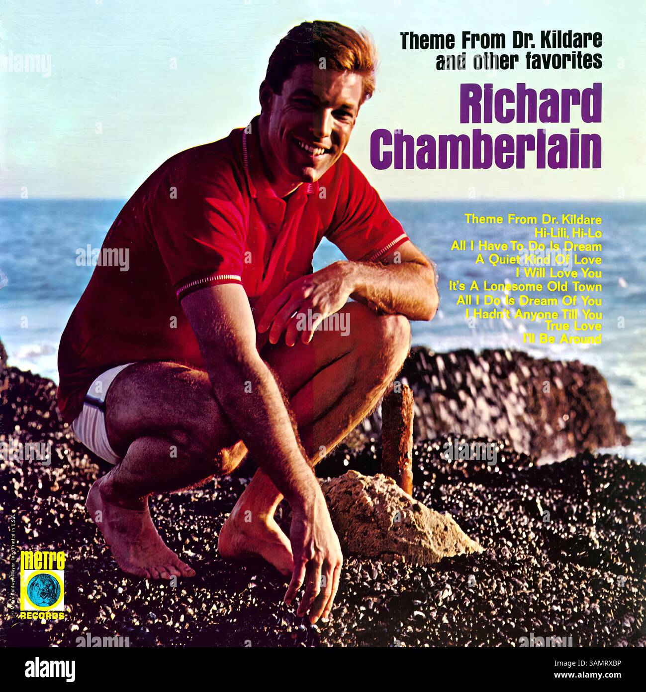 Richard Chamberlain - Theme from Dr. Kildare - Vintage vinyl record ...