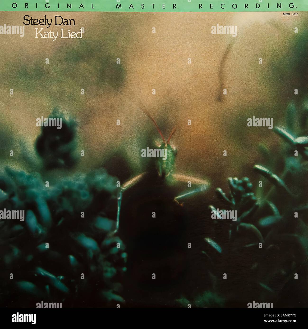 Steely Dan - Katy Lied - Vintage vinyl record cover Stock Photo - Alamy