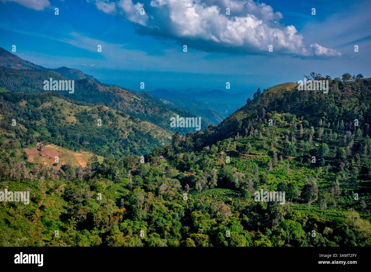 Aerial view of Little Adam's Peak, Badulla, Sri Lanka Stock Photo - Alamy