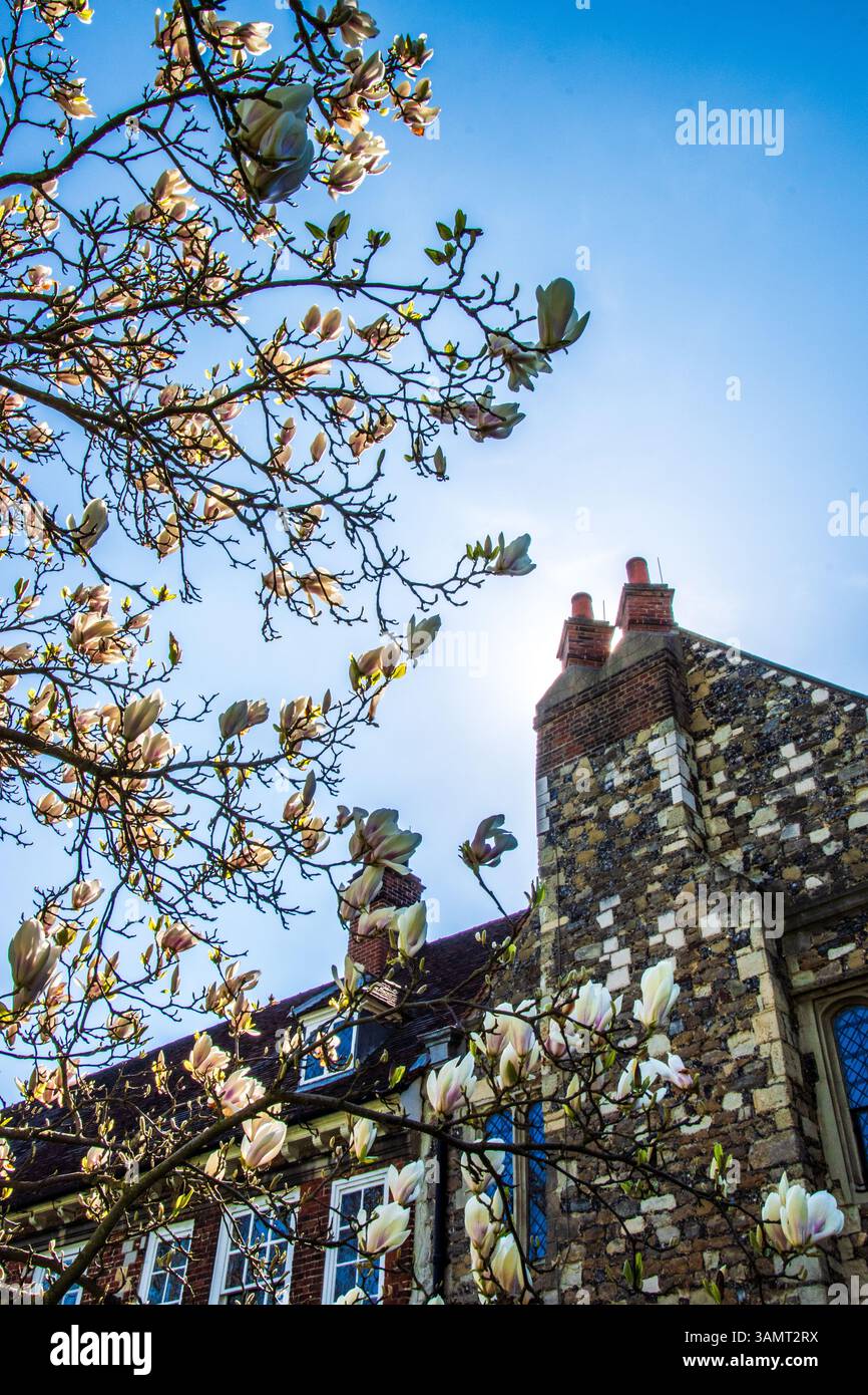 Hall Place, Bexley, Kent Stock Photo - Alamy