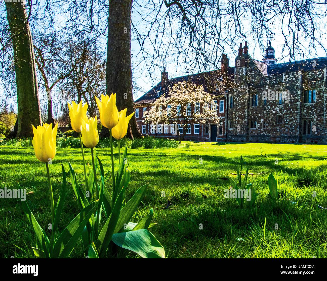 Things to do kent hi-res stock photography and images - Alamy