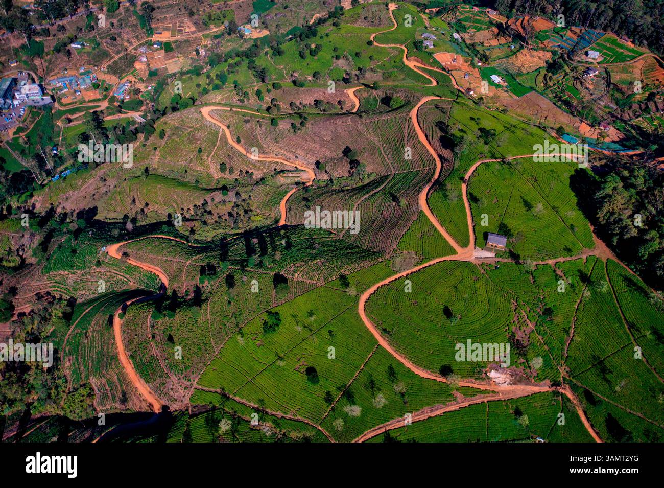 Aerial view of Ella Tea Garden, Nuwara Eliya, Sri Lanka Stock Photo - Alamy
