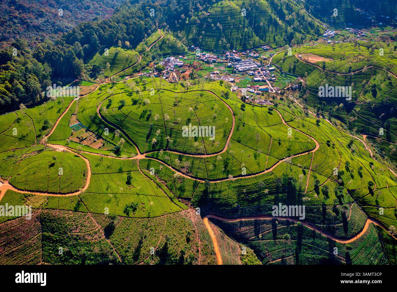 Aerial view of Ella Tea Garden, Nuwara Eliya, Sri Lanka Stock Photo - Alamy