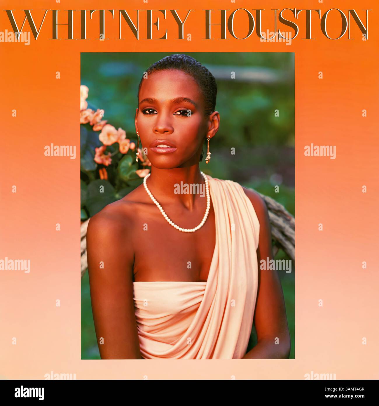 Whitney Houston - Vintage vinyl record cover Stock Photo - Alamy