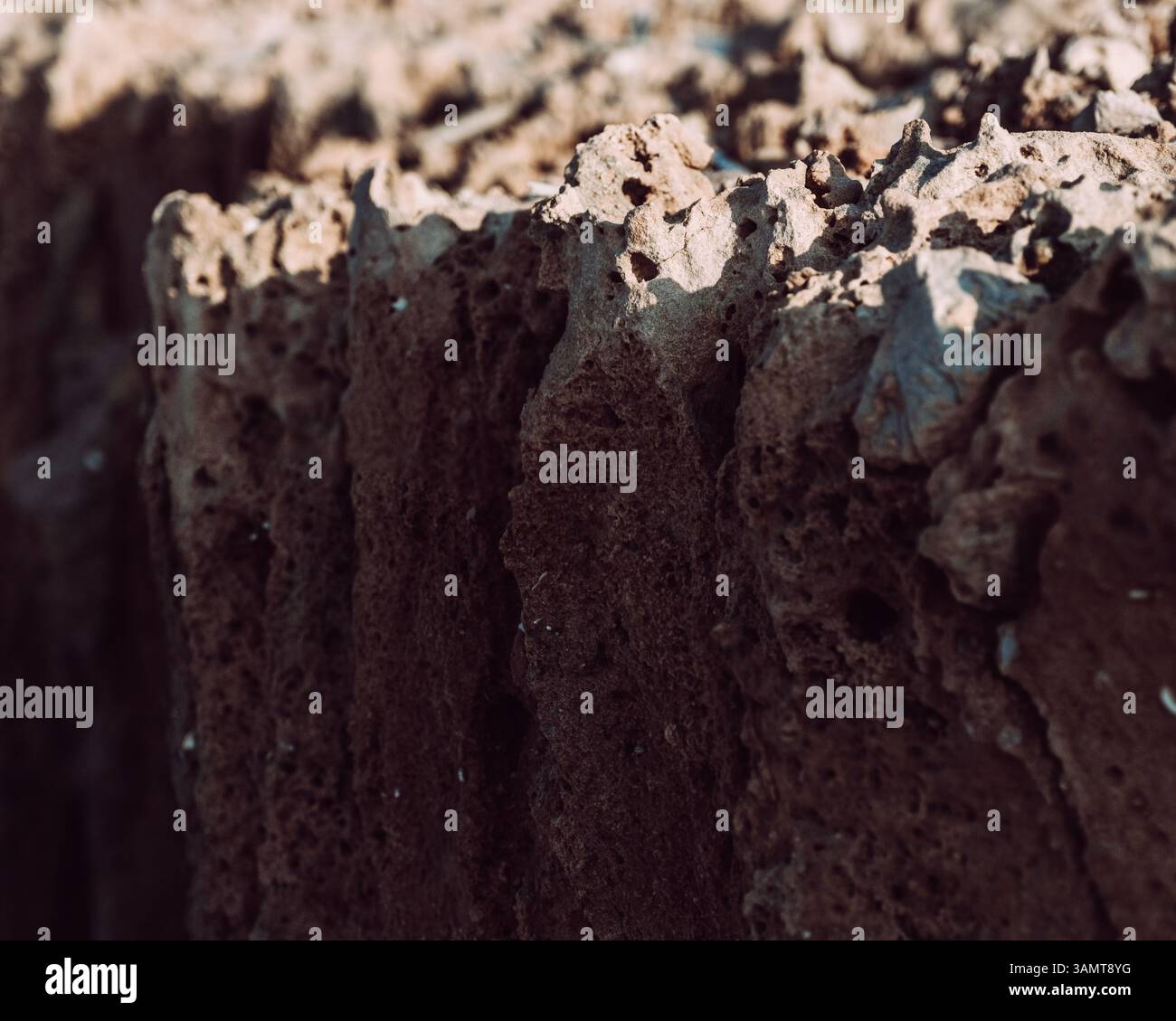 Close-up of weathered limestone rock formation on Delisha Beach ...