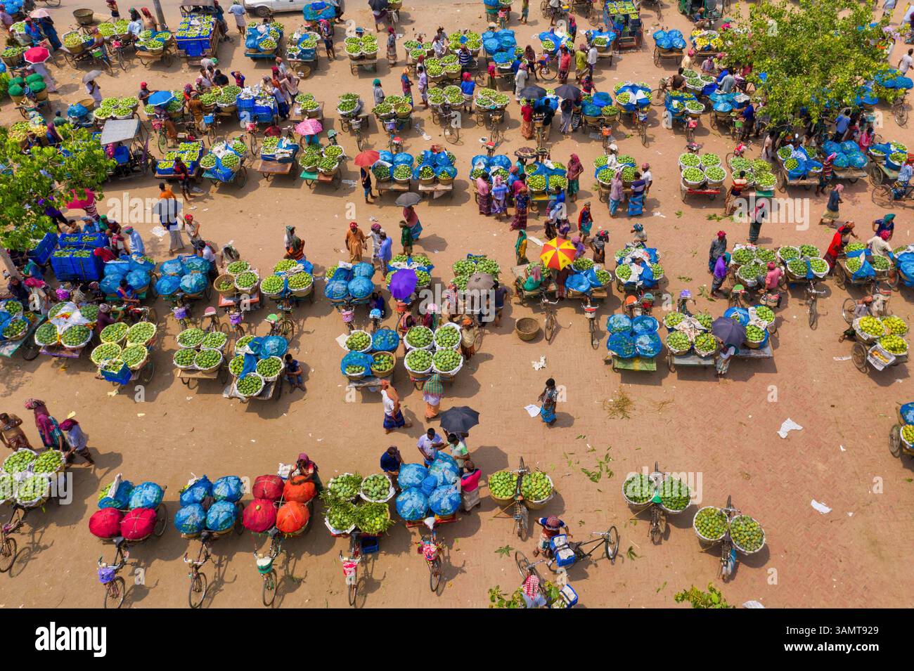 Shibganj, Bangladesh - 14 June 2019: Aerial view of a few people working at Kansat mango Bazar ...