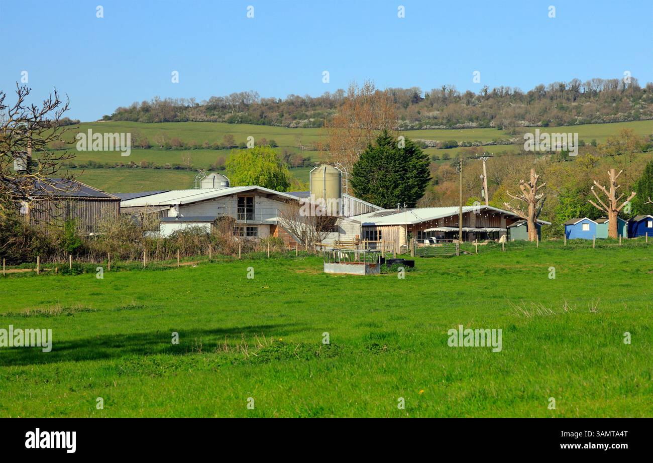 Bath Soft Cheese factory and café buildings, Park Farm, Kelston village ...