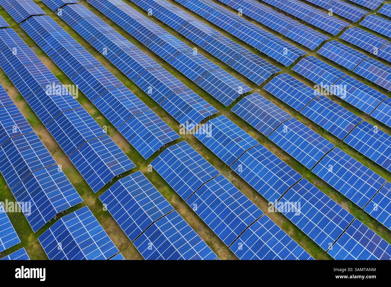 Aerial view of the largest solar panel complex in Bangladesh along ...