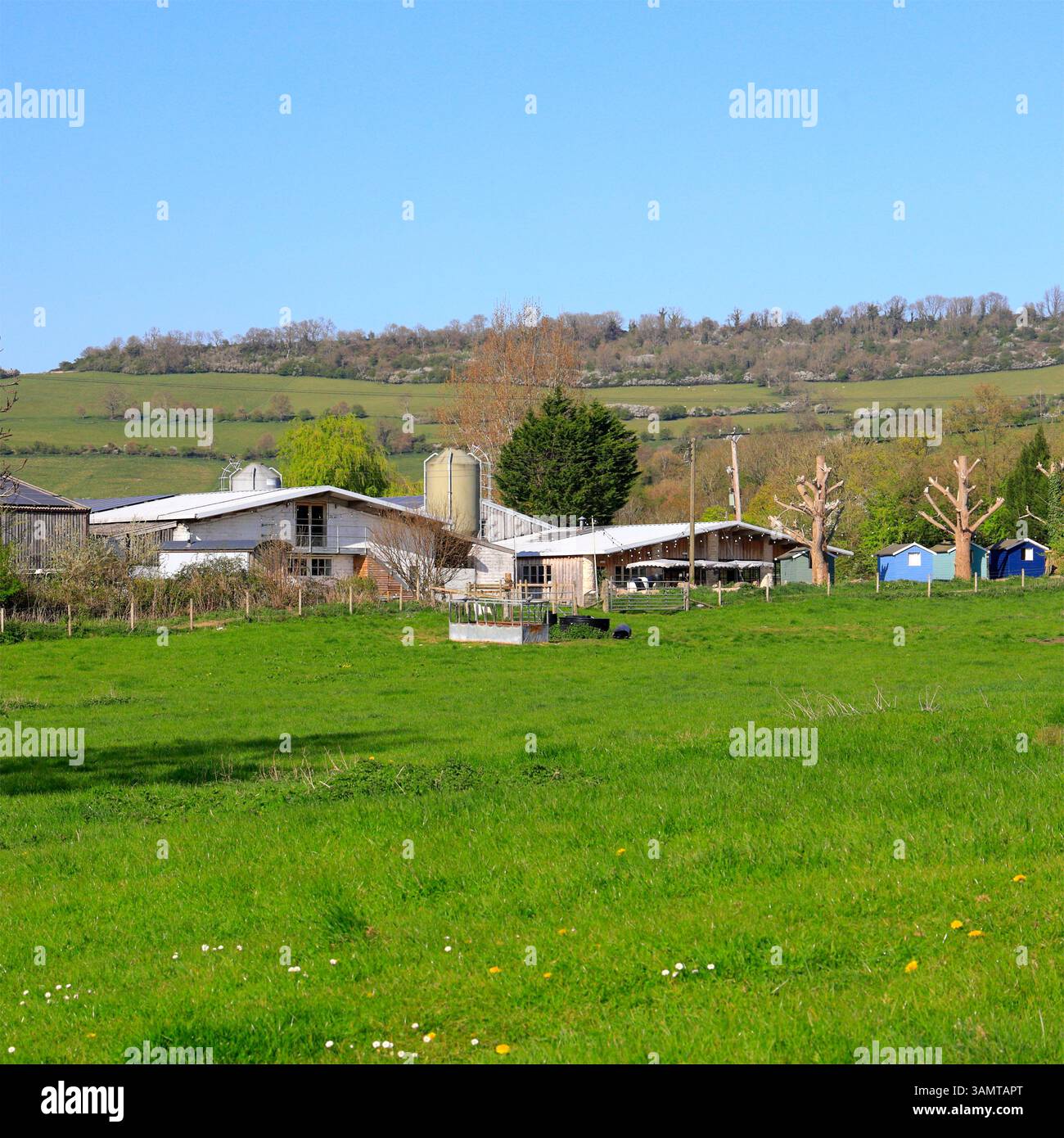 Bath Soft Cheese factory and café buildings, Park Farm, Kelston village ...