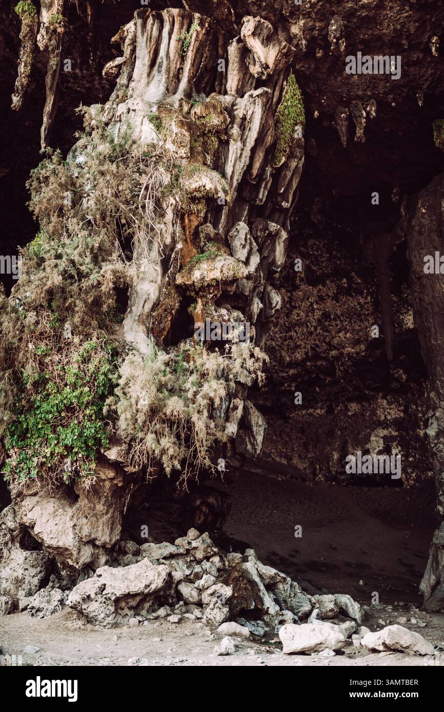 Vegetation clings to the jagged limestone entrance of Dogub Cave ...