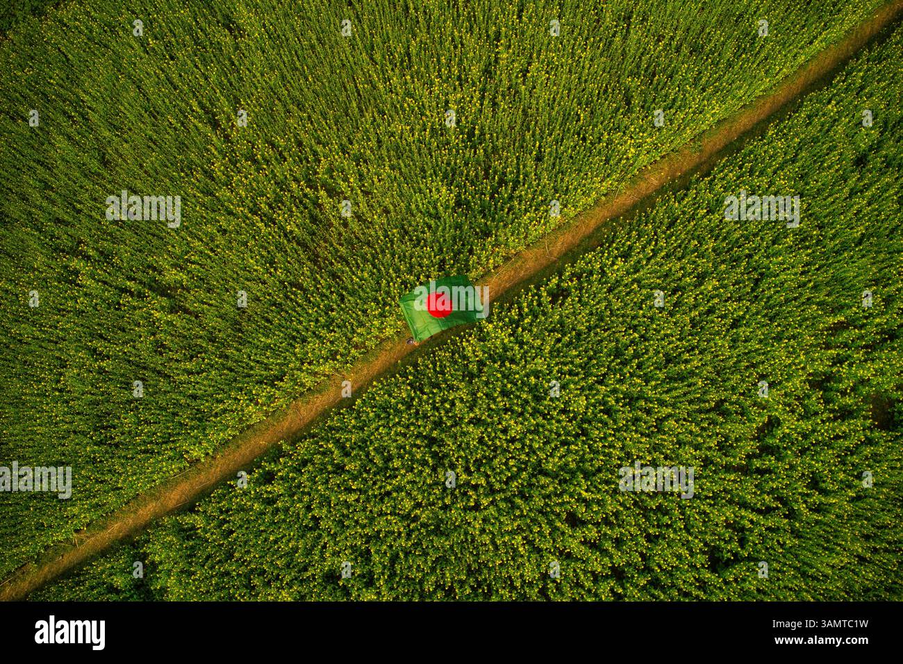 Aerial view of a green flag on a small pathway in a field along the ...