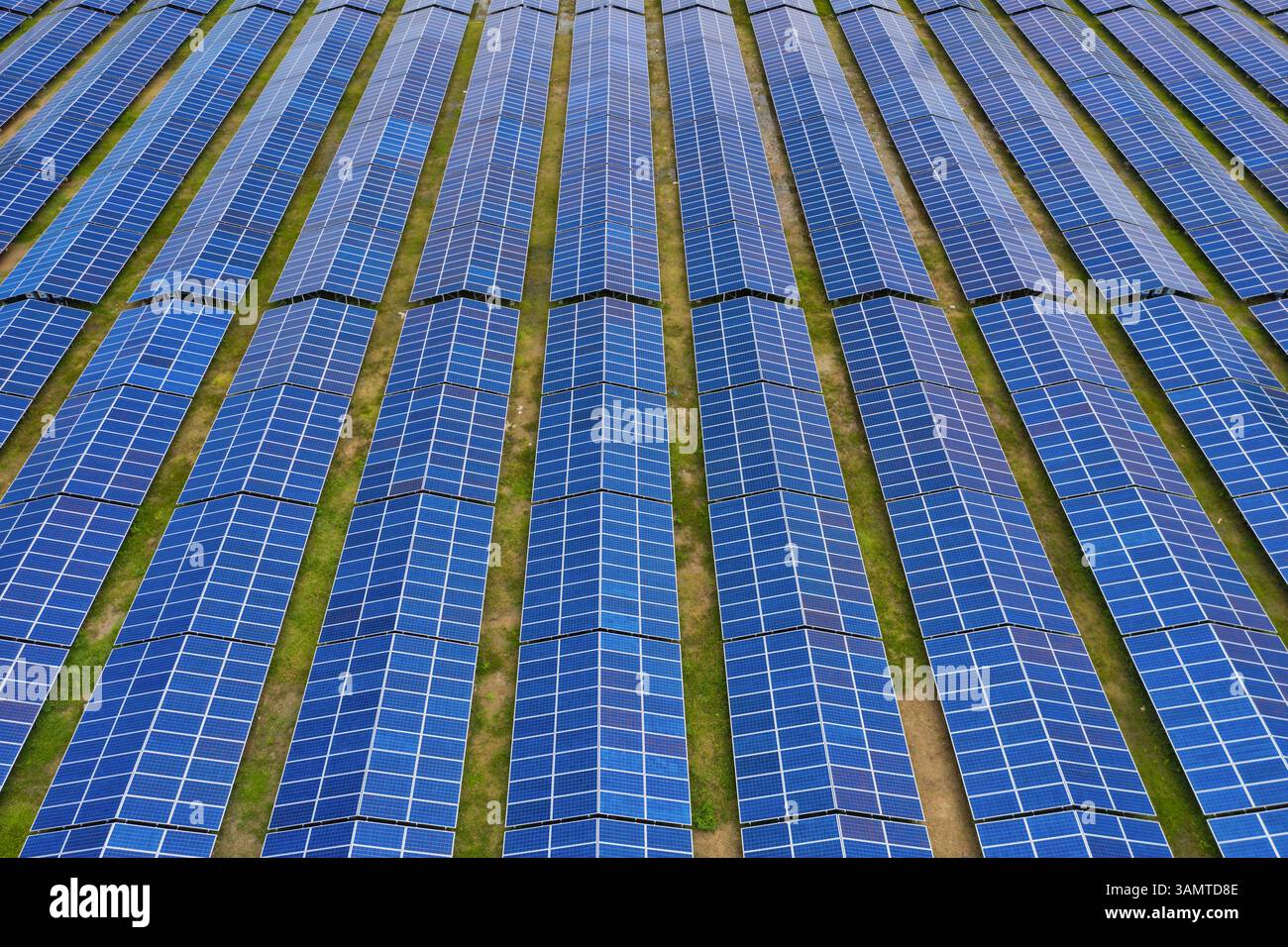 Aerial view of the largest solar panel complex in Bangladesh along ...