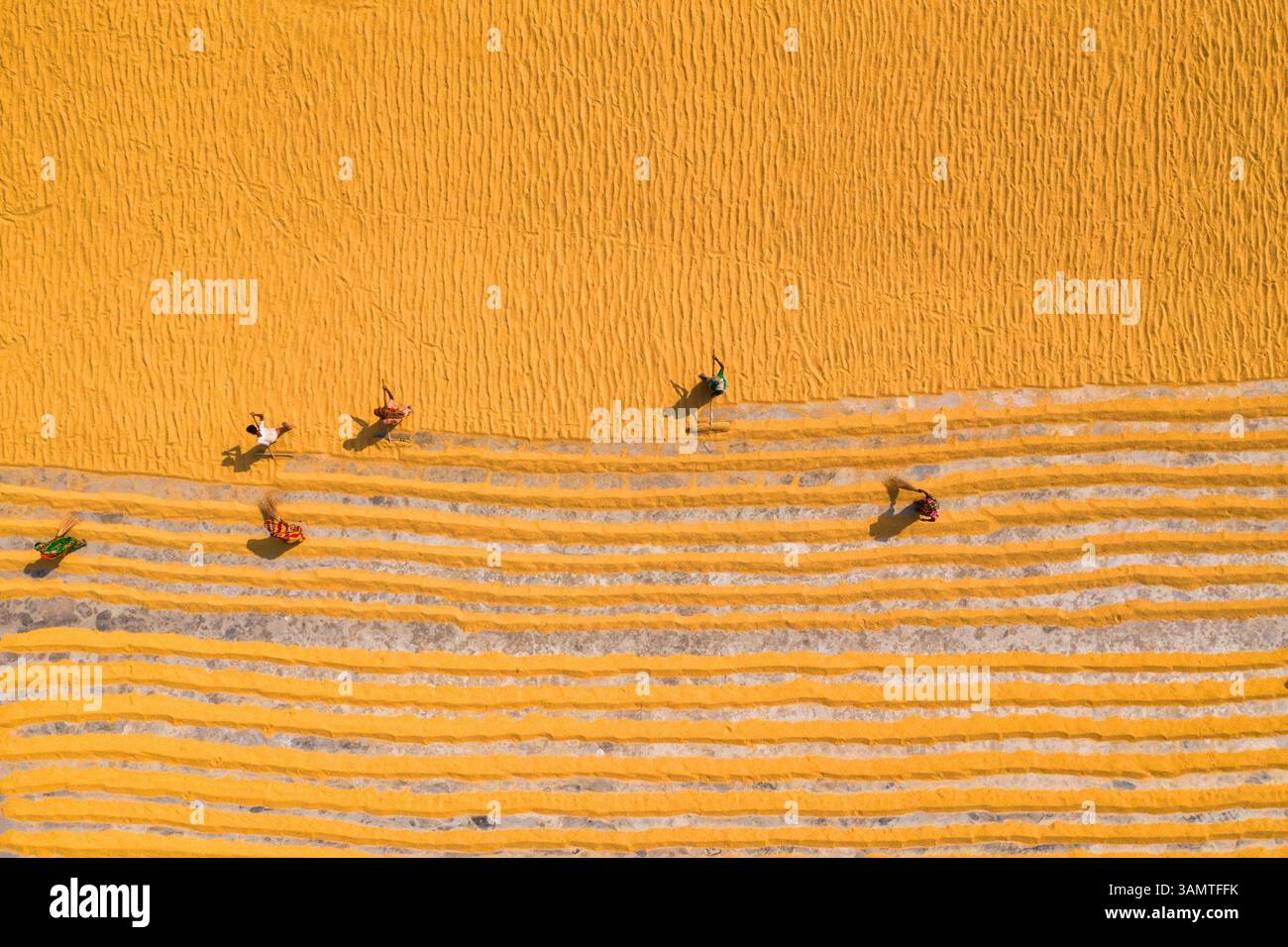Aerial view of a few peasants working in a paddy field raking and ...