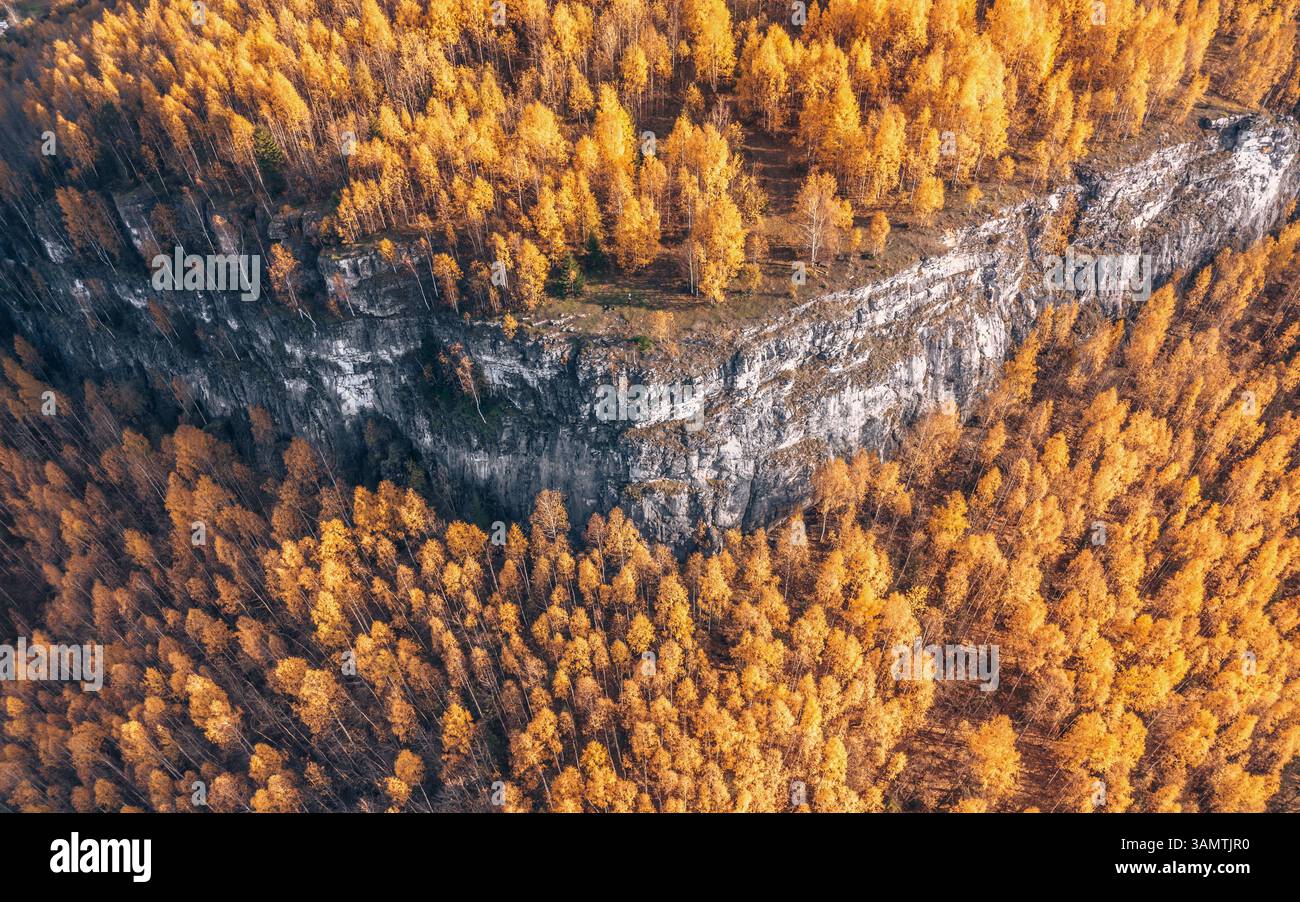 Aerial view of the treetops of golden forest on the mount in autumn ...