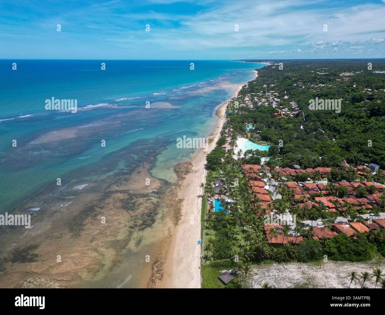 Aerial view of tropical beach with azure ocean and lush palm trees ...