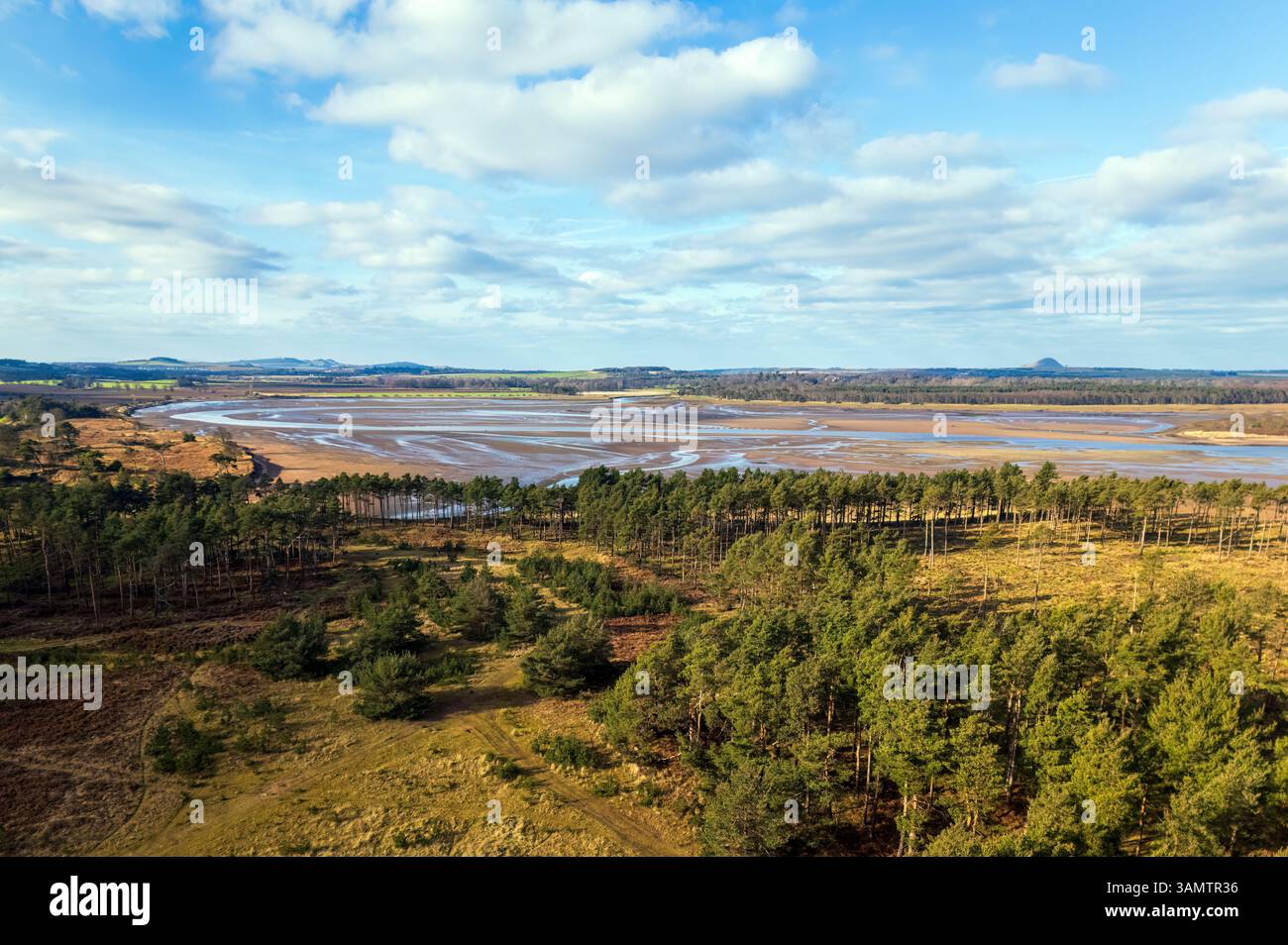Aerial view of serene John Muir Country Park with tranquil forests and ...