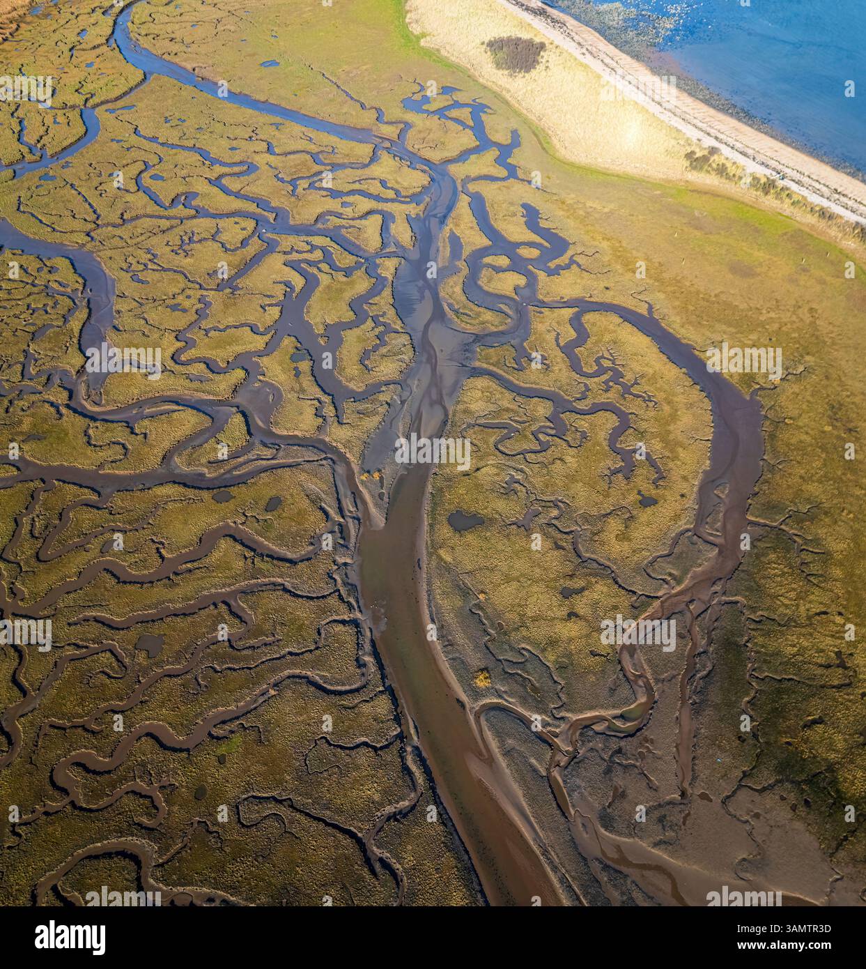 Aerial view of salt flats and wetlands along the River Tyne Estuary ...