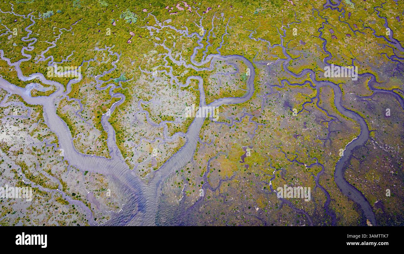 Aerial view of meandering stream through wetlands and marsh ...