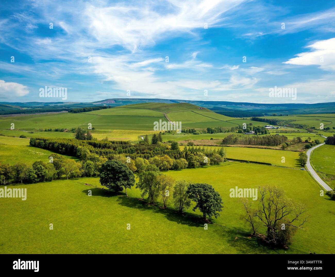 Aerial view of lush meadow and rolling hills, Southdean Jubilee ...