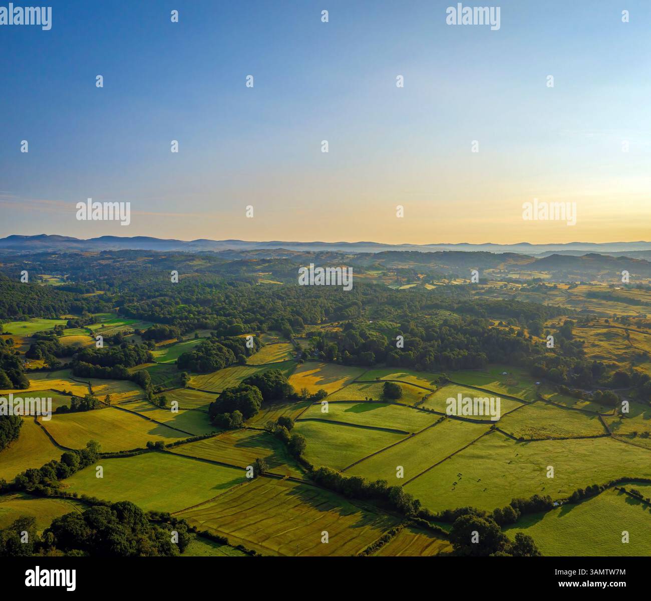Aerial view of lush green fields and rolling hills under tranquil sky ...