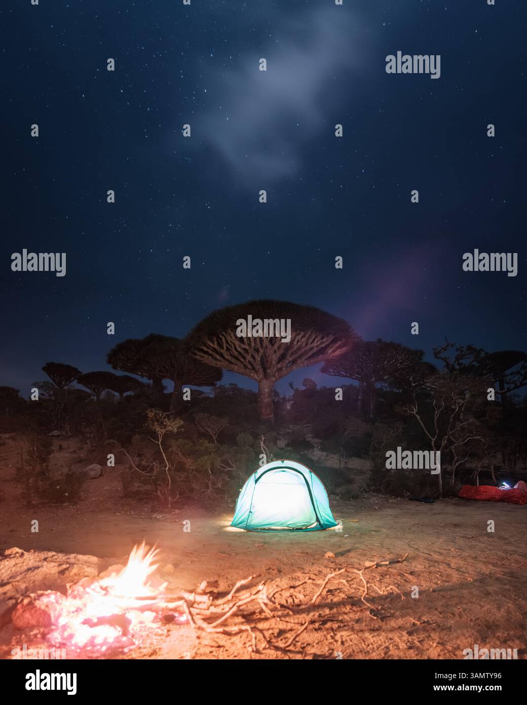 A magical night camping scene in Firmhin Forest, Socotra, Yemen ...