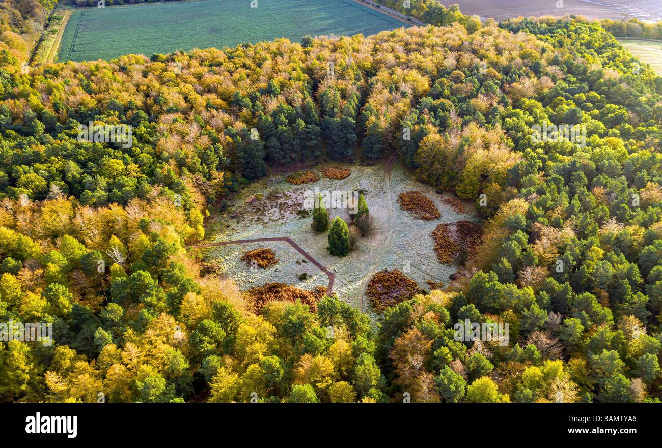 Aerial view of Binning Wood, Dunbar, Scotland Stock Photo - Alamy
