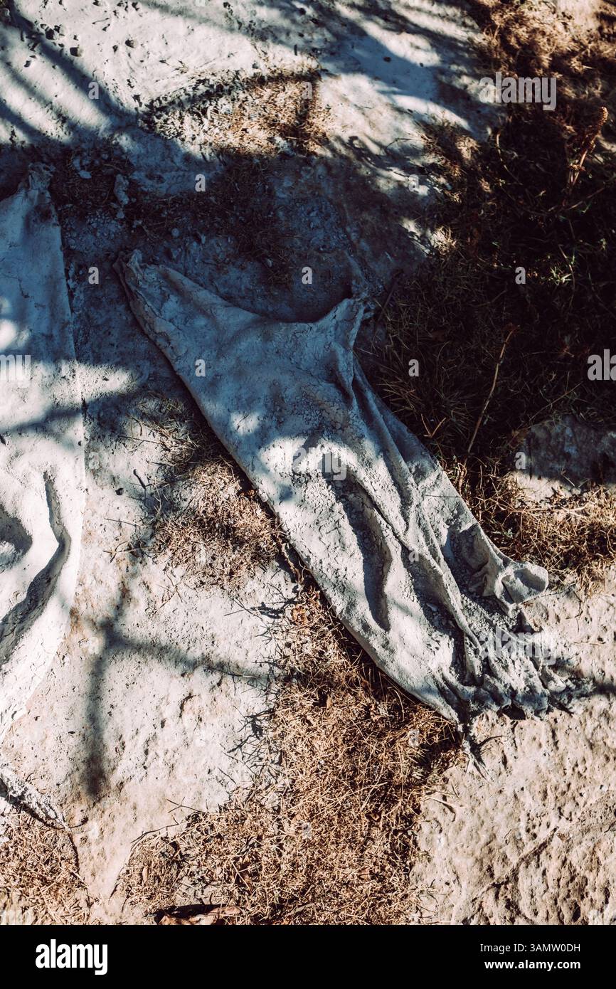 Dried goat skin laid out on ground in Socotra Island, Yemen Stock Photo ...