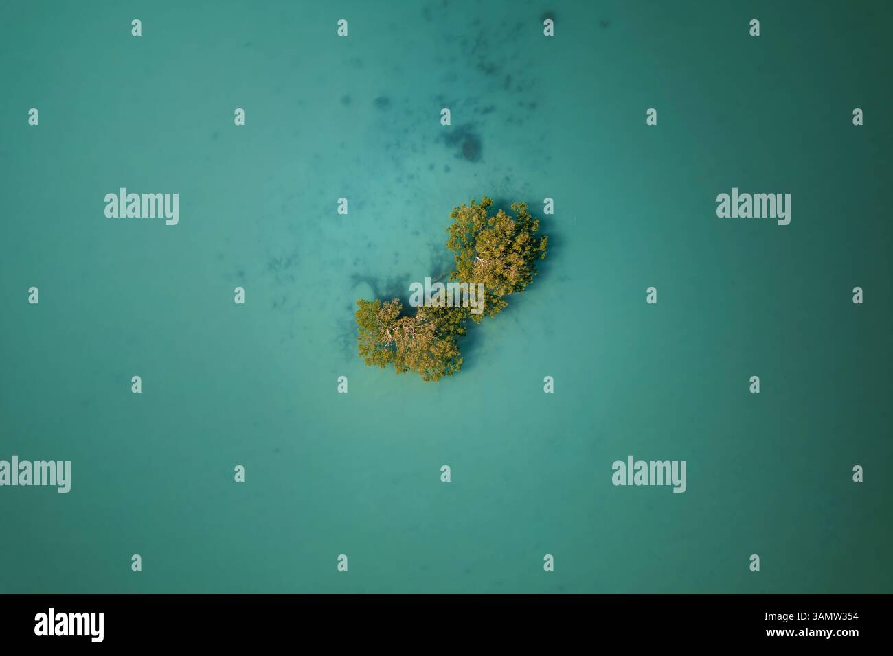 Aerial view of mangrove in Broome, Western Australia, Australia Stock ...