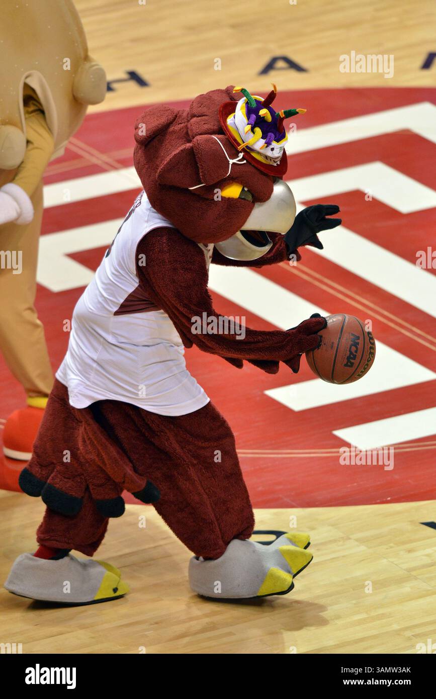 Feb. 16, 2014 - Philadelphia, Pennsylvania, U.S - HOOTER, the Temple ...