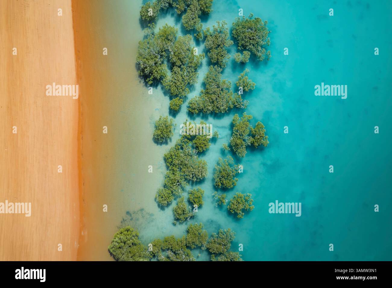 Aerial view of mangrove forms at Simpson Beach, Broome, Western ...
