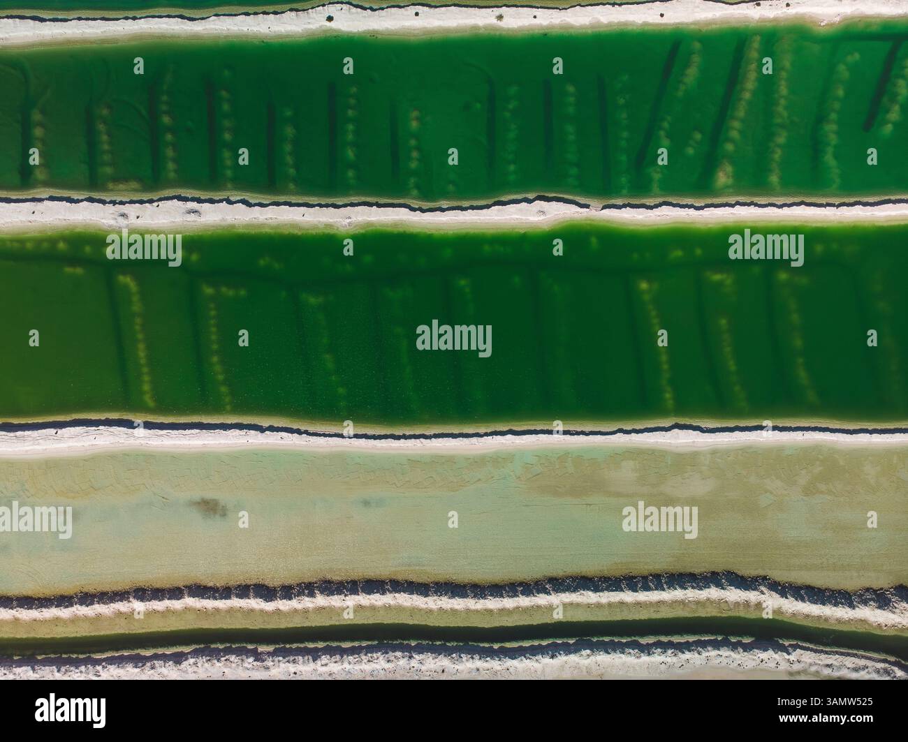 Aerial view of a salt mine with different hues of green and salt ...