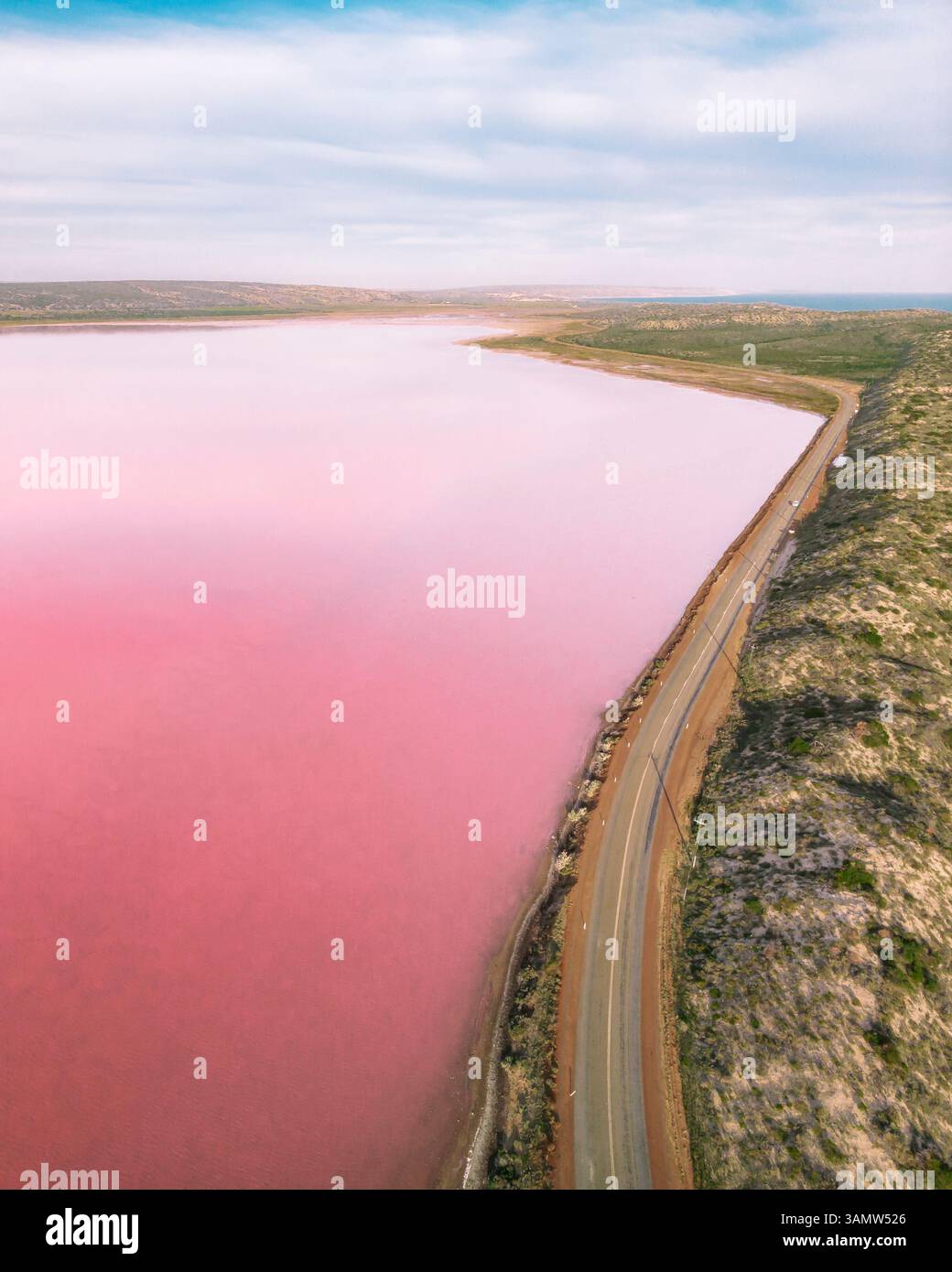 Aerial view of the pink Hutt Lagoon with a road going along the salt ...