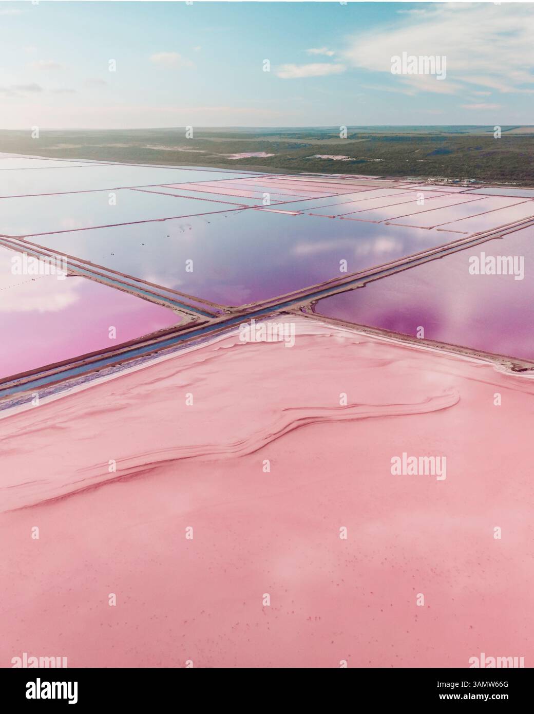 Panoramic aerial view of the pink salt lake Hutt Lagoon with areas of ...